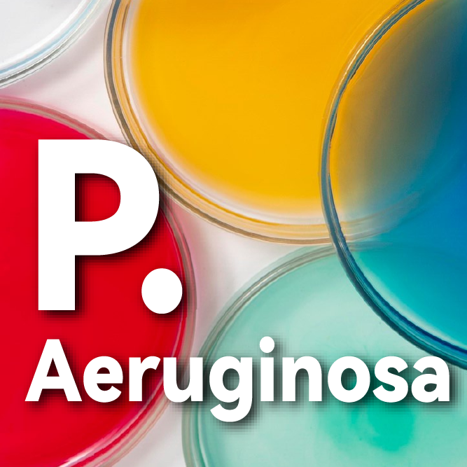 Applications | TracePatho - 病原微生物溯源平台