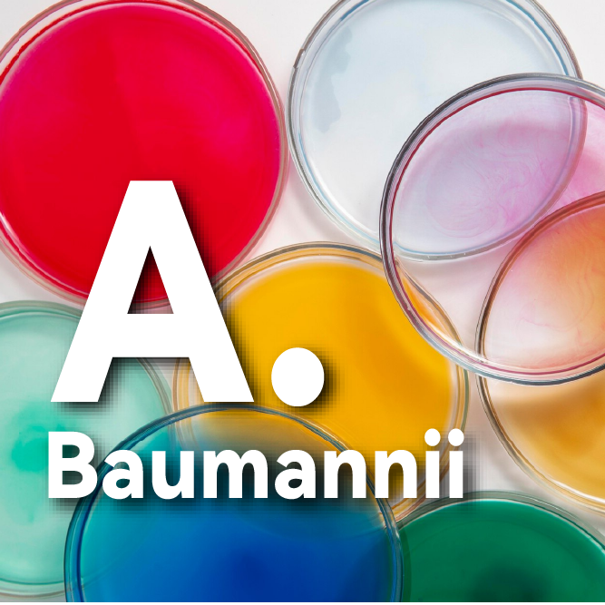 Applications | TracePatho - 病原微生物溯源平台