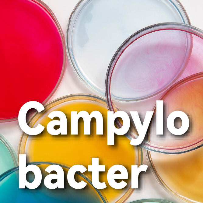 Applications | TracePatho - 病原微生物溯源平台