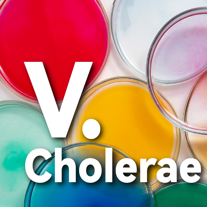 Applications | TracePatho - 病原微生物溯源平台