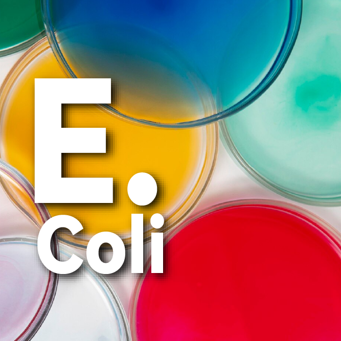 Applications | TracePatho - 病原微生物溯源平台