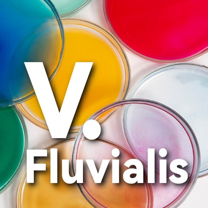 Applications | TracePatho - 病原微生物溯源平台