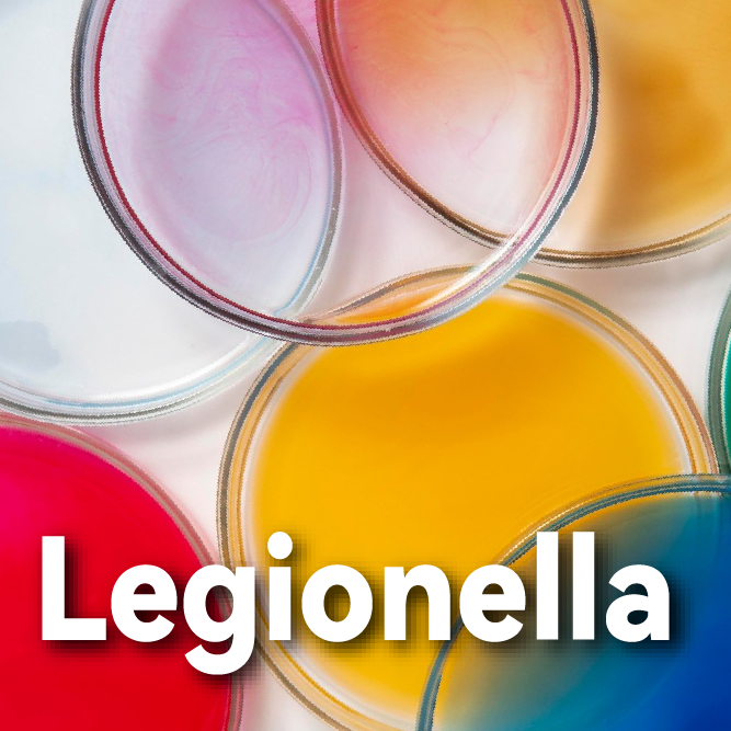 Applications | TracePatho - 病原微生物溯源平台