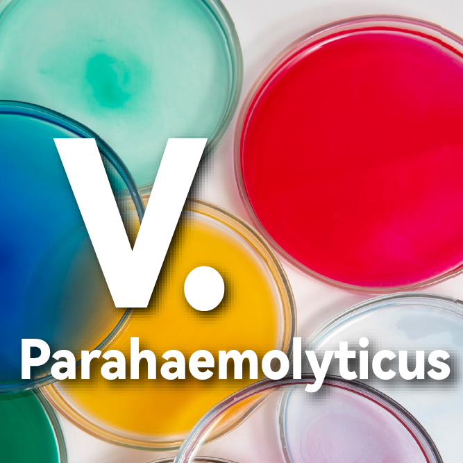 Applications | TracePatho - 病原微生物溯源平台