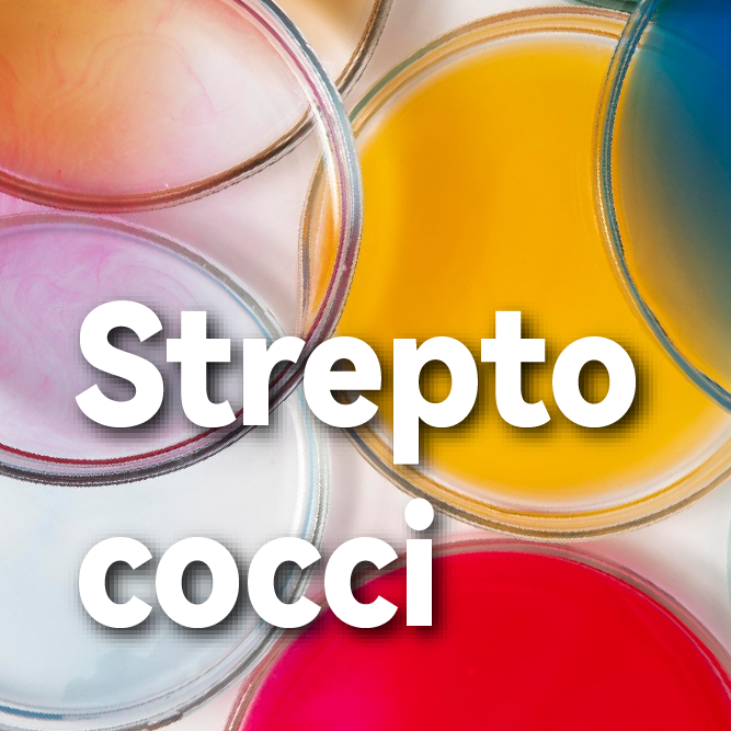 Applications | TracePatho - 病原微生物溯源平台