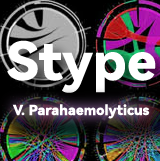 Applications | TracePatho - TracePatho