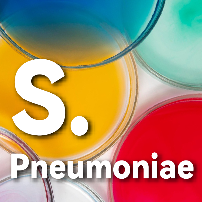 Applications | TracePatho - 病原微生物溯源平台